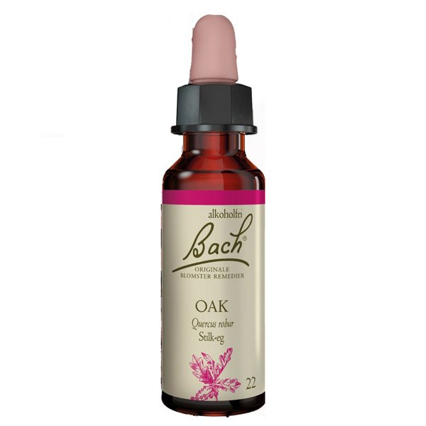 Bach Stilk Eg (Oak) - Dr. Bach - Mezina - Naturkost